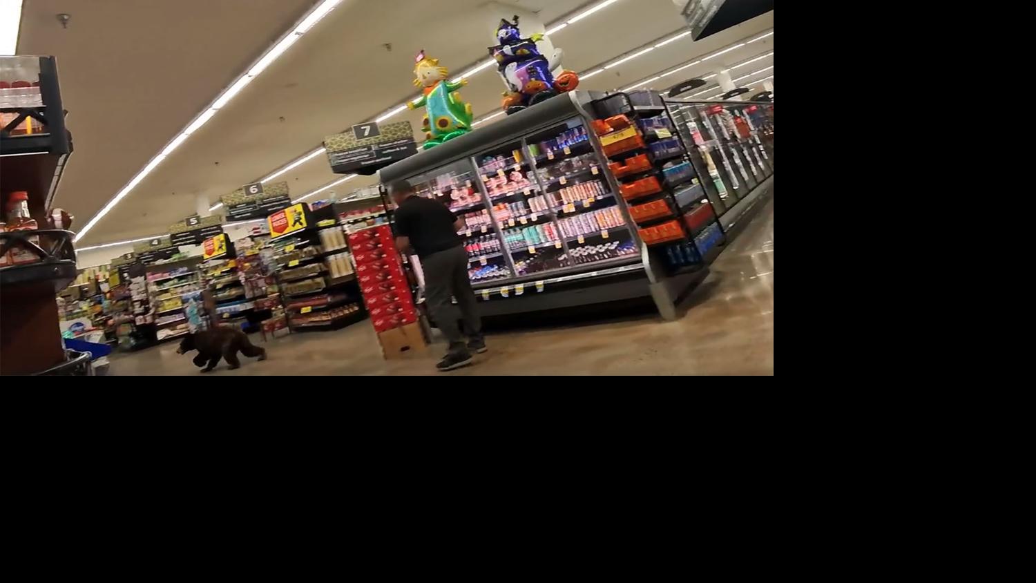 Oro Valley grocery store's bear-y unusual shopper