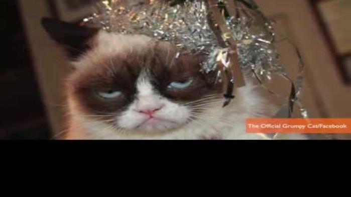 Arizona sourpuss — Grumpy Cat — headed to big screen