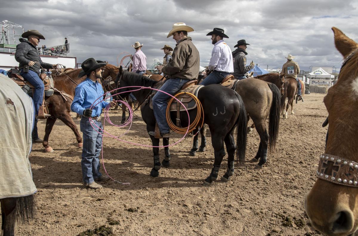 Photos: 2019 La Fiesta de los Vaqueros Tucson Rodeo, Day 3 timed events