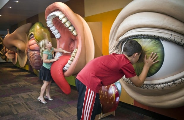New body-parts exhibit keeps little ones laughing