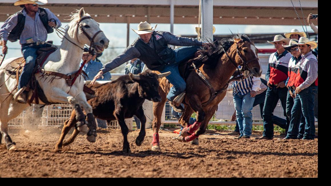Arizona Wildcats rodeo team begins season at Tucson Rodeo