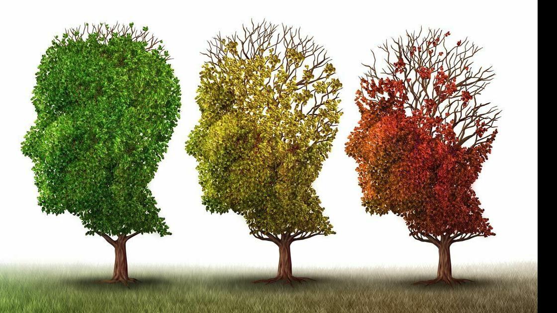 Dementia-represented-by-tree-imagery.jpg