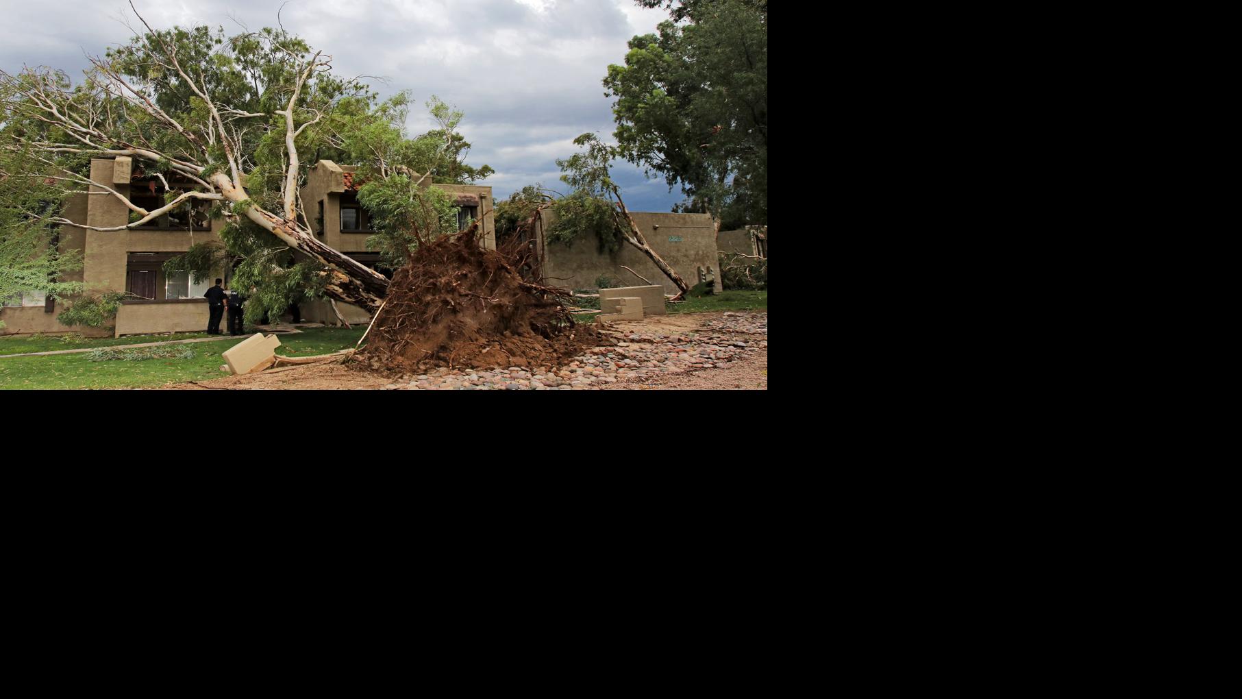 Tormenta destructiva golpea el este de Tucsón (en inglés)