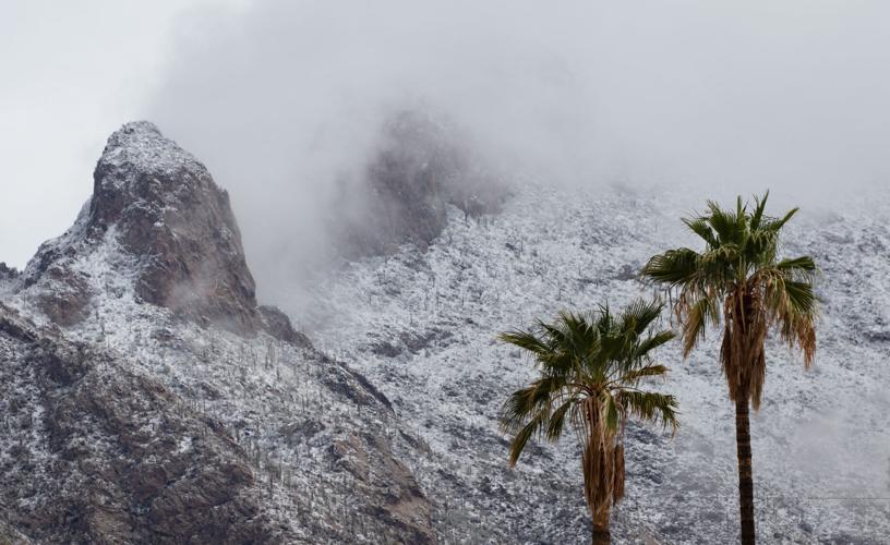 Tucsonans wake up to snow, road to Mount Lemmon closes