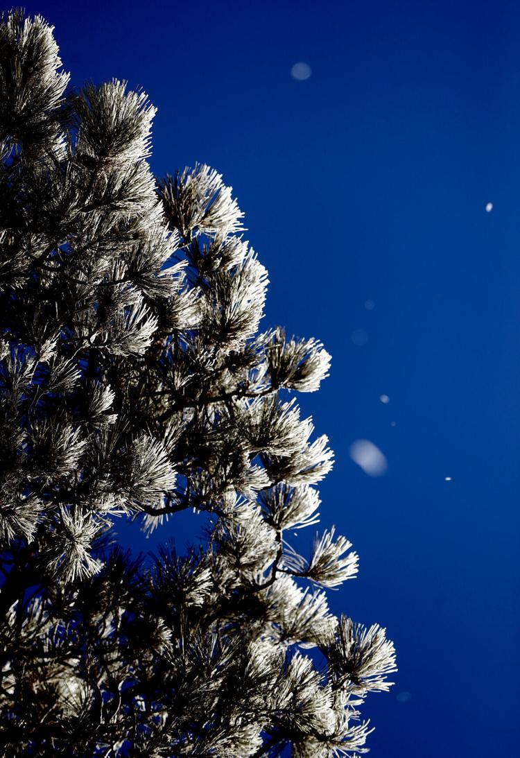 Photos: Rain and snow around Tucson