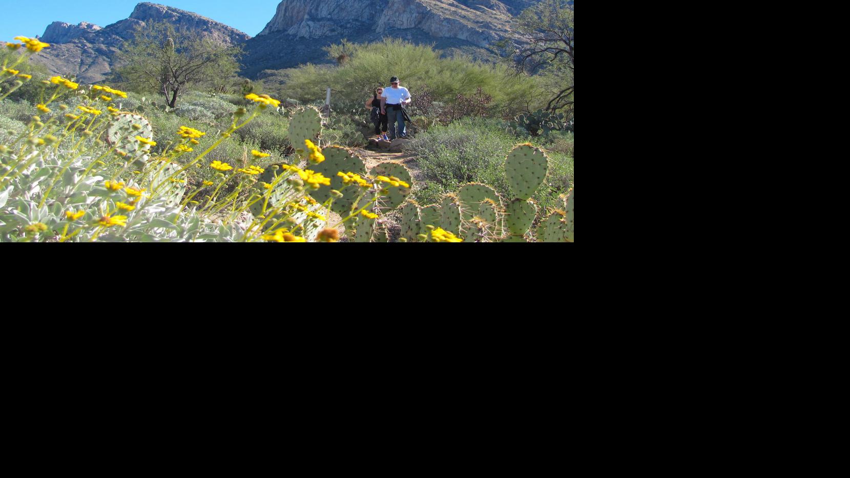 Tucson weather: A week of mostly sunshine