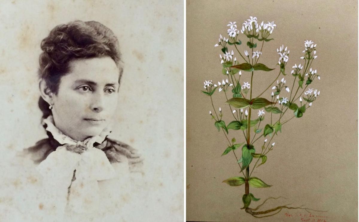 SaddleBrooke Nature Club Meeting on Monday, May 9 | Clubs | tucson.com