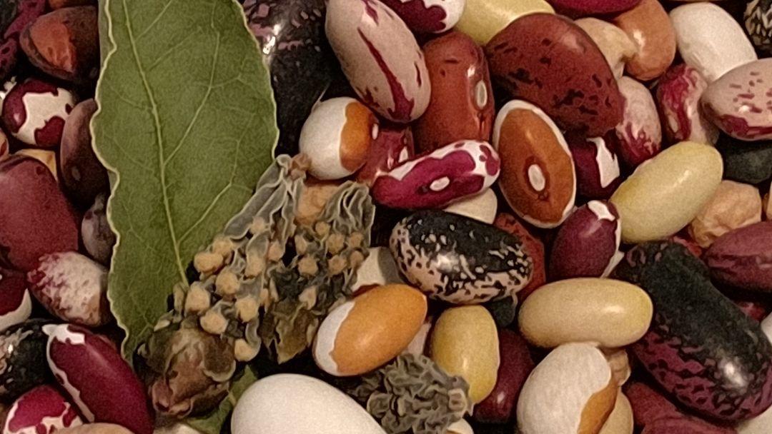 how to cook zuni gold beans