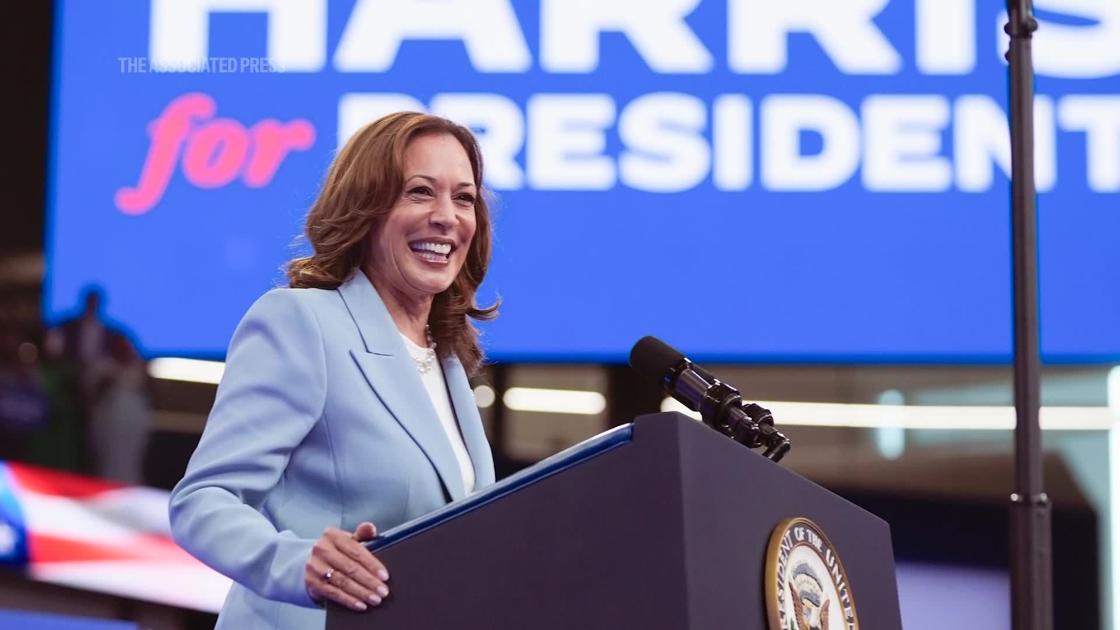 Kamala Harris' top potential VP contenders remain largely unknown to public