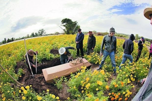 Keen observation shapes 'Flor de Muertos'