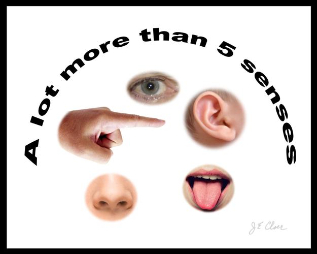 A Lot More Than Five Senses | Arts-and-leisure | tucson.com