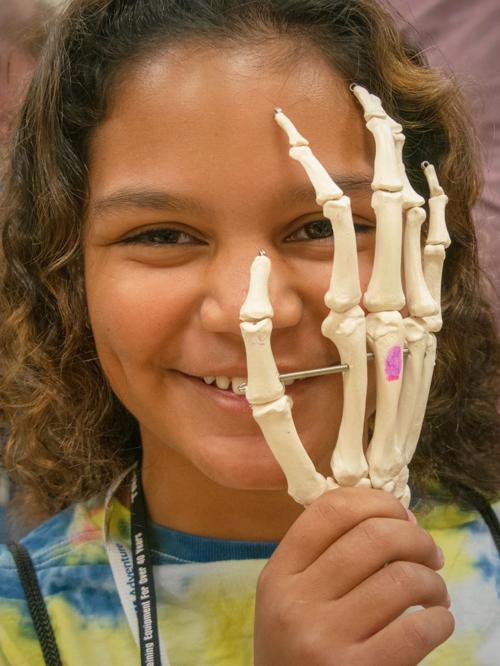 Arizona Tax Credits: SARSEF