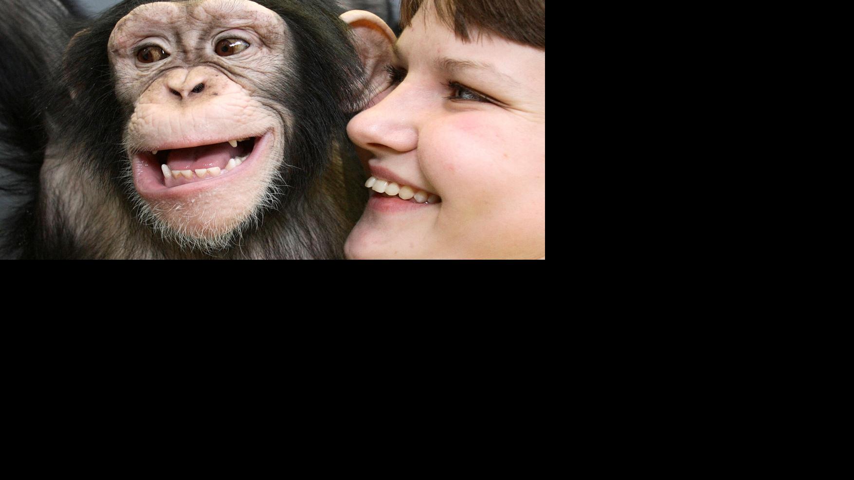 Humans and apes show similar rhythmic pattern in laughter