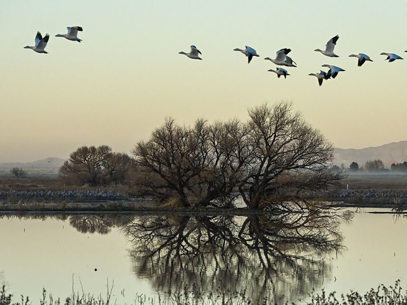 Annual Arizona student nature photo contest open for entries