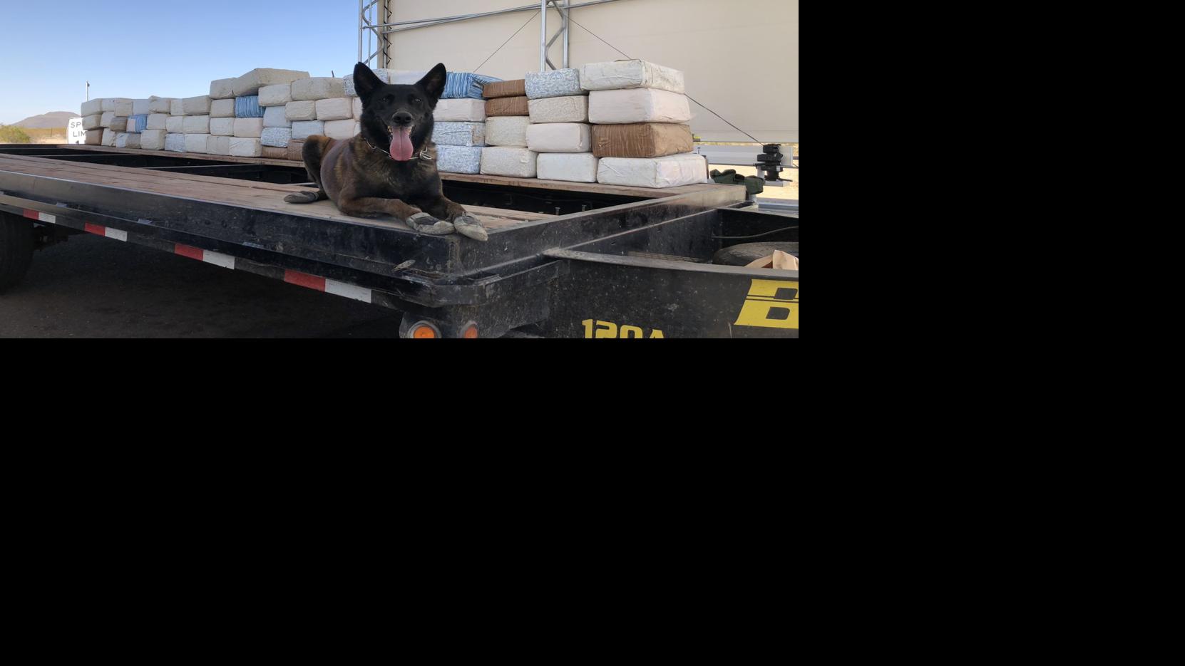 Ajo station Border Patrol agents seize $700,000 worth of marijuana from ...