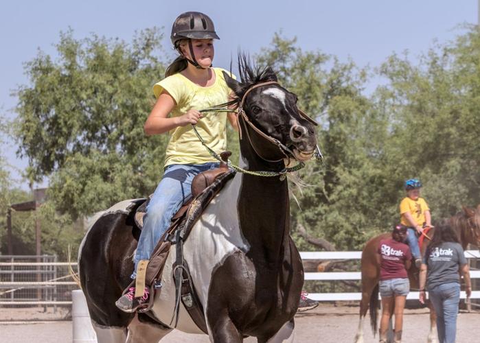 2 Tucson horse stables settling in, with both in a helping mood