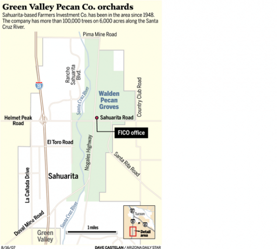 More pecan trees in Arizona