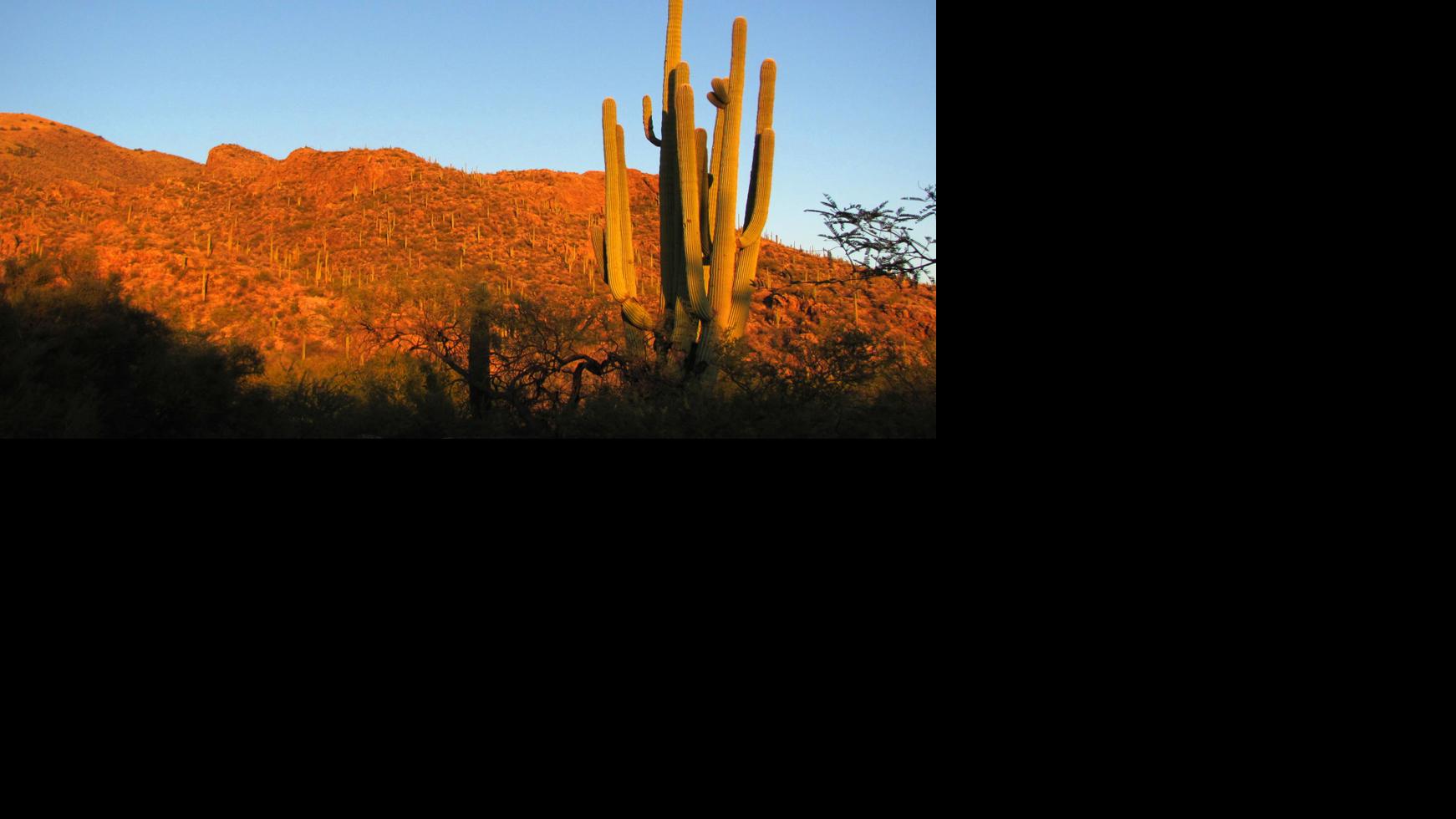 Monday's high temp breaks daily record in Tucson | Local news | tucson.com