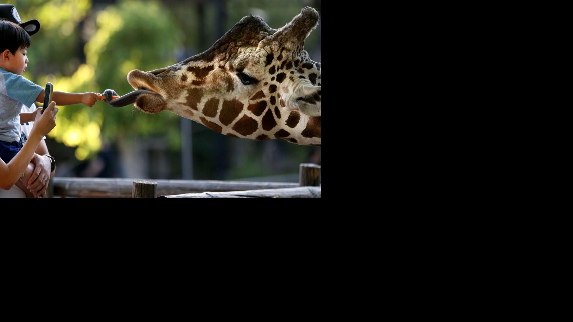 🌵 Events happening in Tucson May 30-June 2, 2024🌵 | This Is Tucson ...