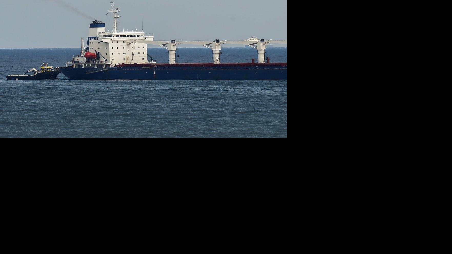 Inspections of Ukrainian grain ships halved since October