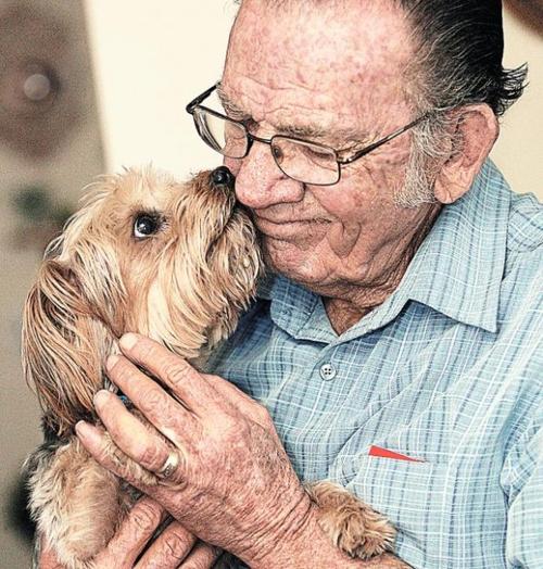 Often known as little annoyer, yapper turns out to be big hero