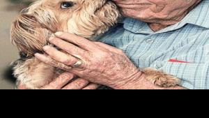 Often known as little annoyer, yapper turns out to be big hero