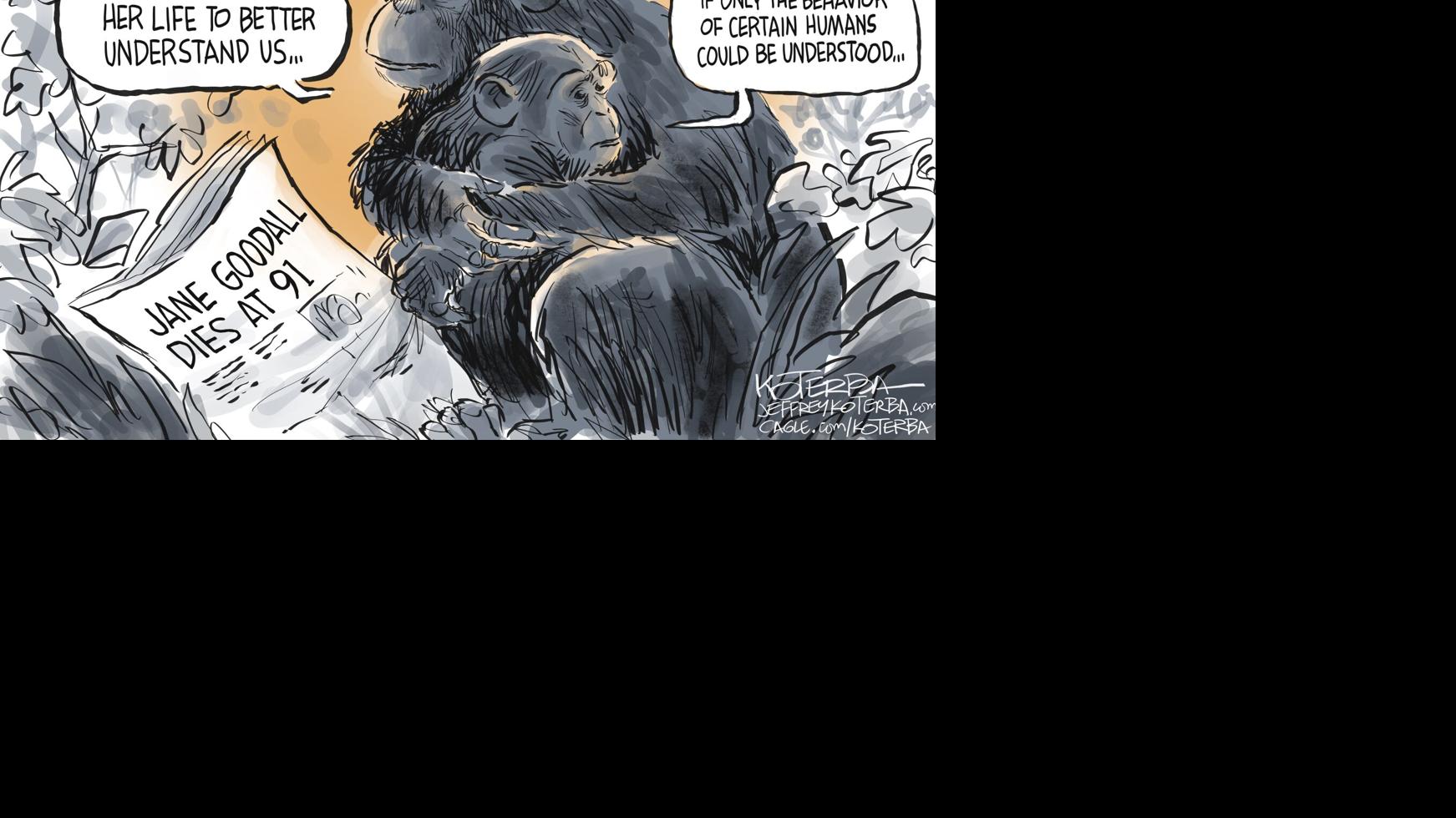 ANOTHER VIEW | Jeff Koterba | Cagle Cartoons
