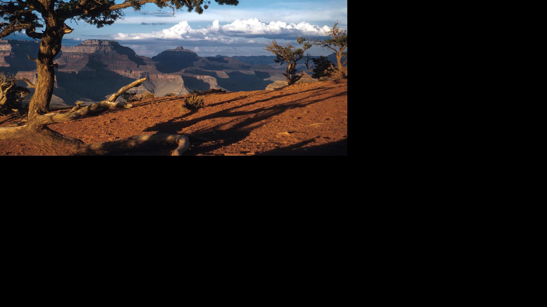 Grand Canyon tram project stalls