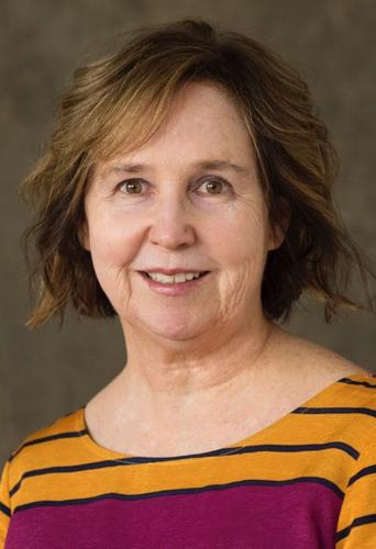 Molly McKasson and Robin Hiller: Vote against dark money | Opinion ...