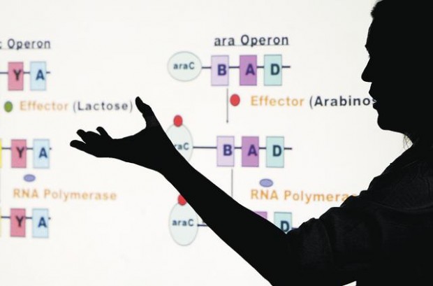 Tucson High students learn biotech skills