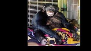 sandra herold interview