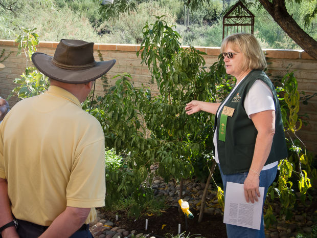 Learn the best ways to grow citrus and deciduous fruit trees and shrubs