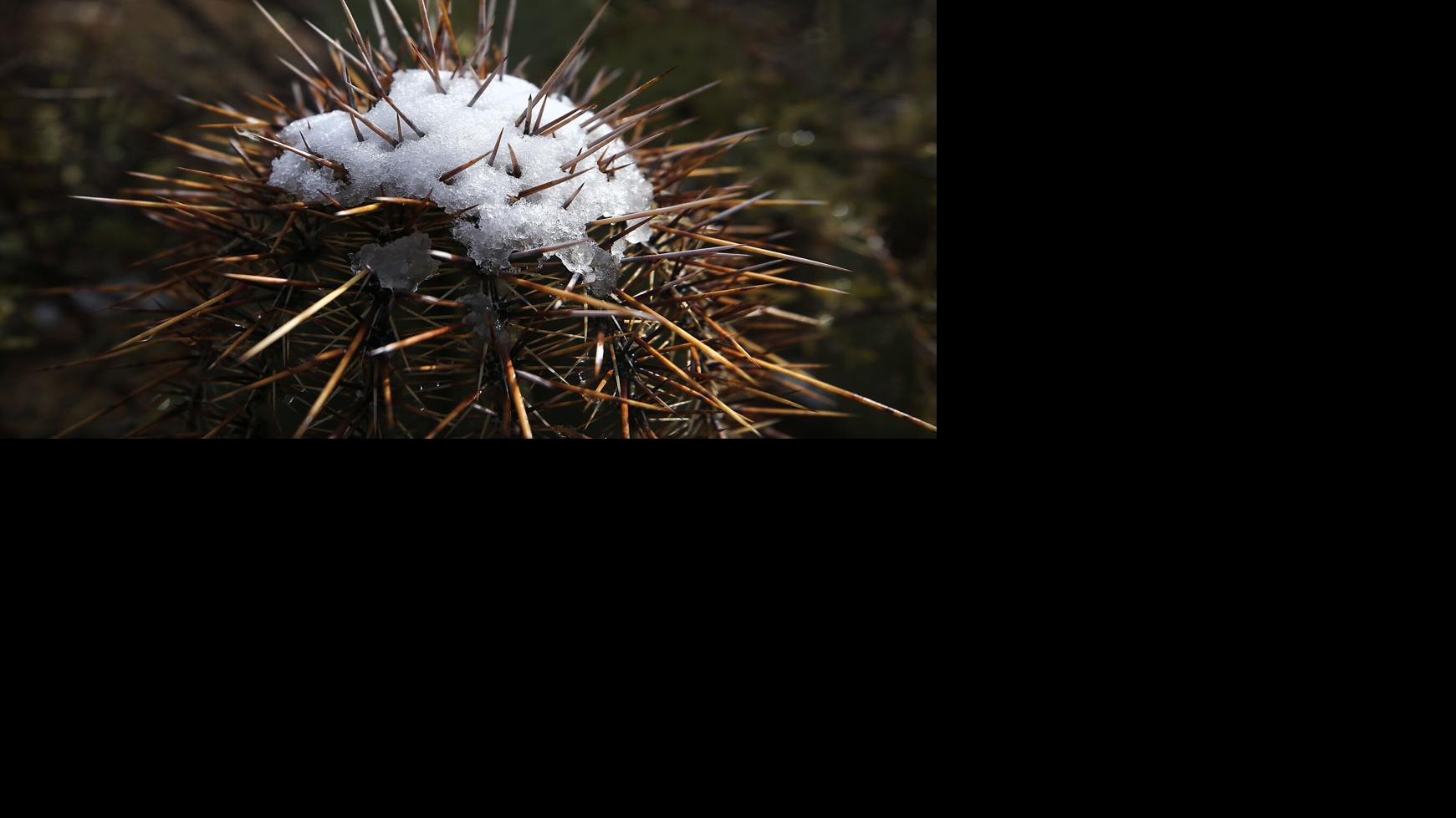 Today's Tucson weather forecast: March 1