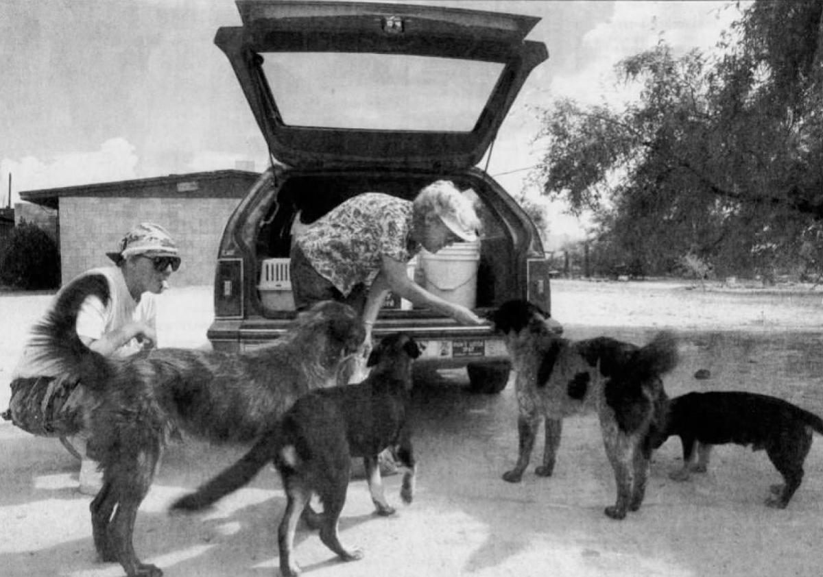 Remembering the Dog Lady