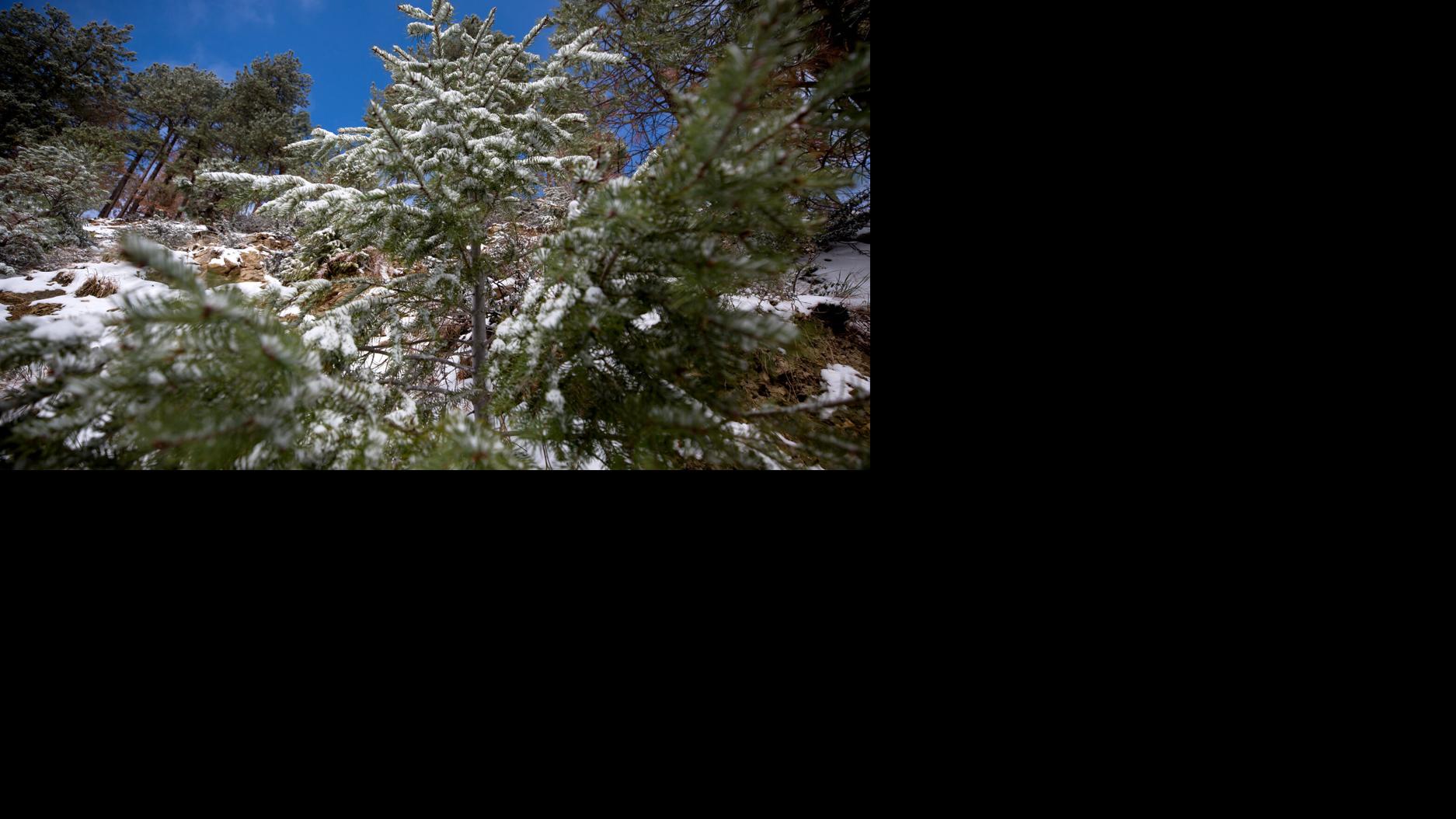 Today's Tucson weather forecast: March 7