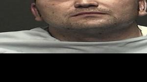 Tucson man pleads guilty in machete attack of teen girls
