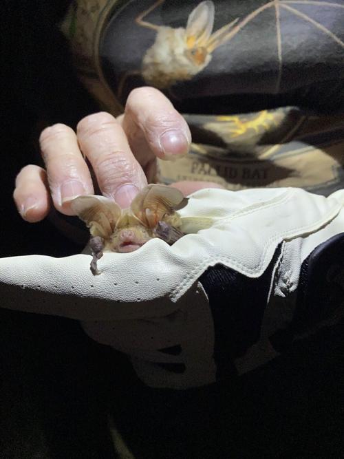 Debbie_holding_bat.jpg