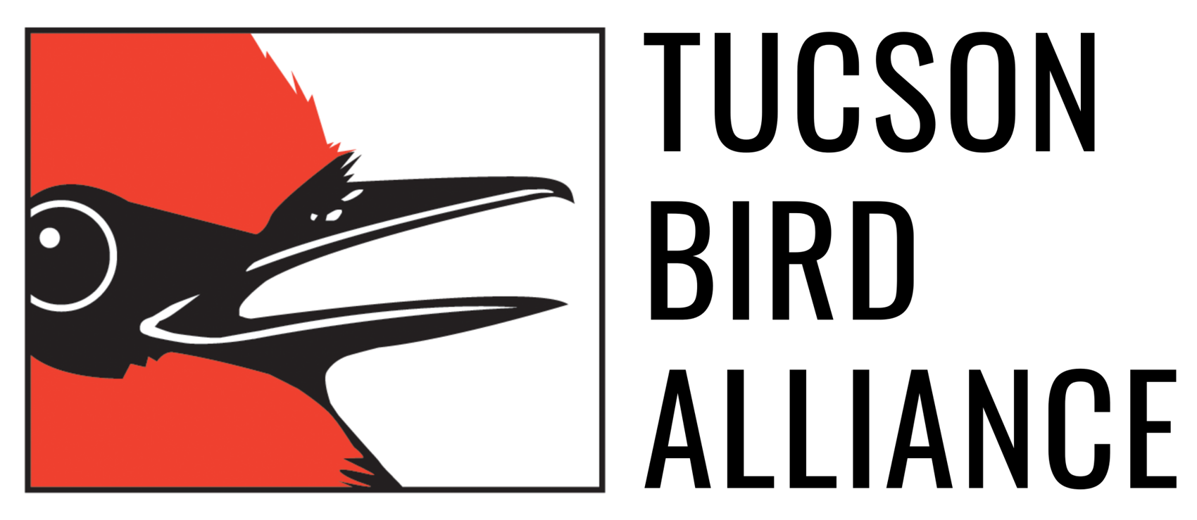 Audubon is history as Tucson Bird Alliance spreads its wings