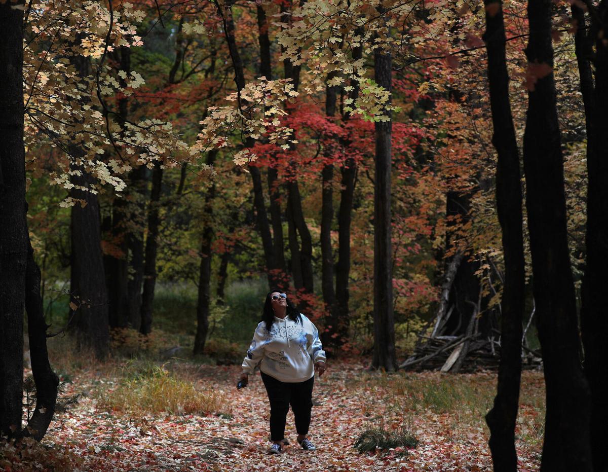 Photos: Mount Lemmon bursts with color as fall season arrives