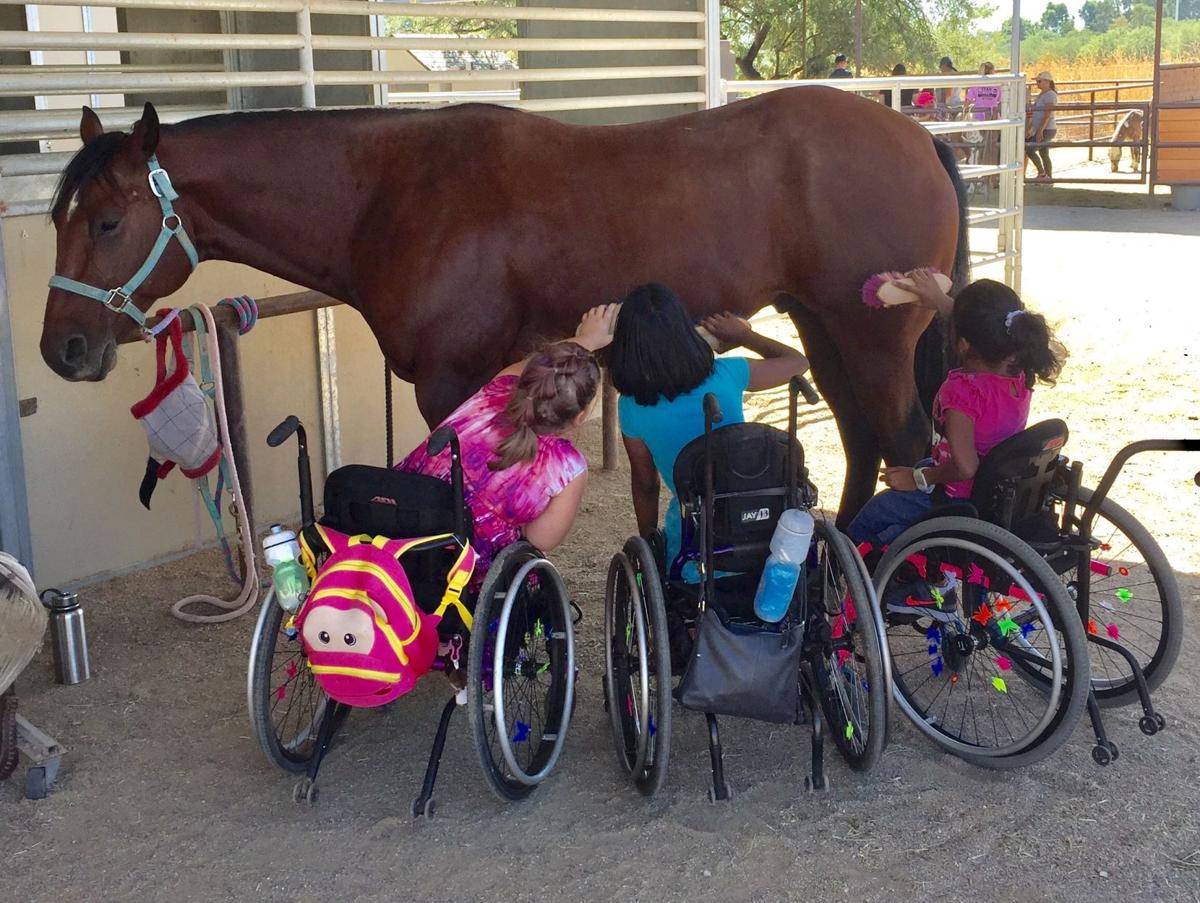 Arizona Tax Credits: TRAK