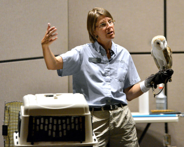 Desert Museum nights feature heavens, wildlife
