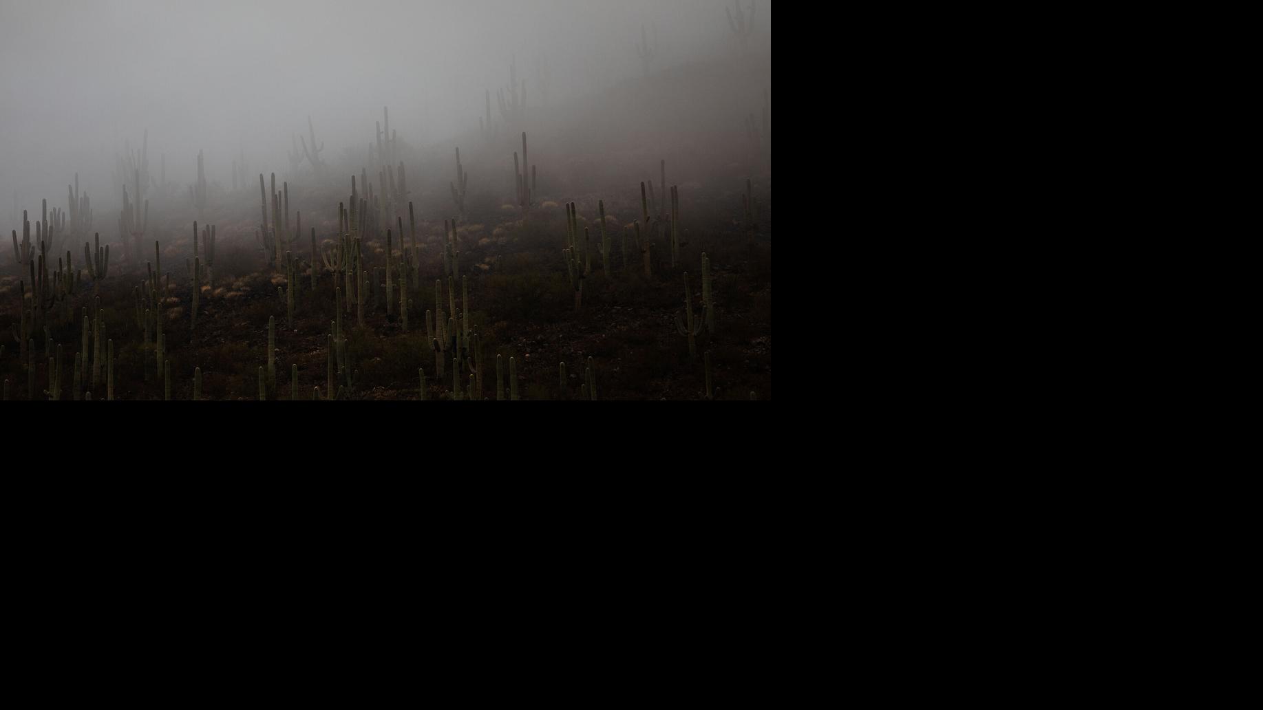 Tuesday morning in Tucson will be season's coldest