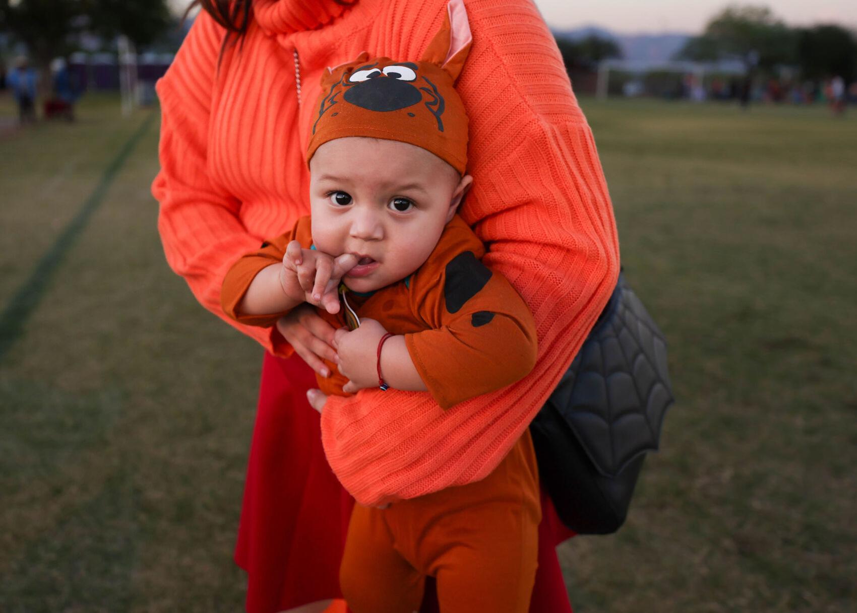 Free things to do in Tucson: fall festivals and Cyclovia | to do ...