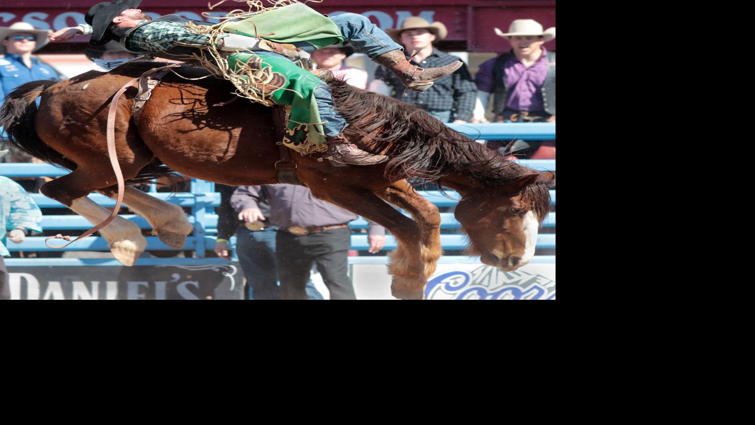 Devan Reilly conquers feisty Killer Bee to win bareback title at Tucson ...