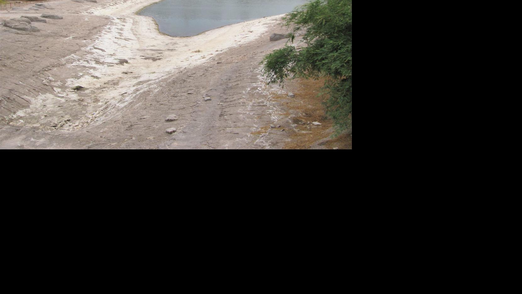 Water levels have dropped at Kino Environmental Restoration Project ...