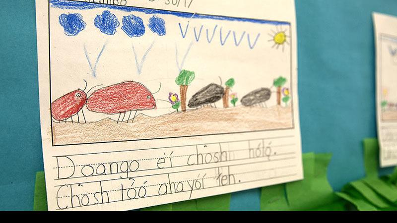 Majority of Arizona’s Native Americans now speak only English at home ...