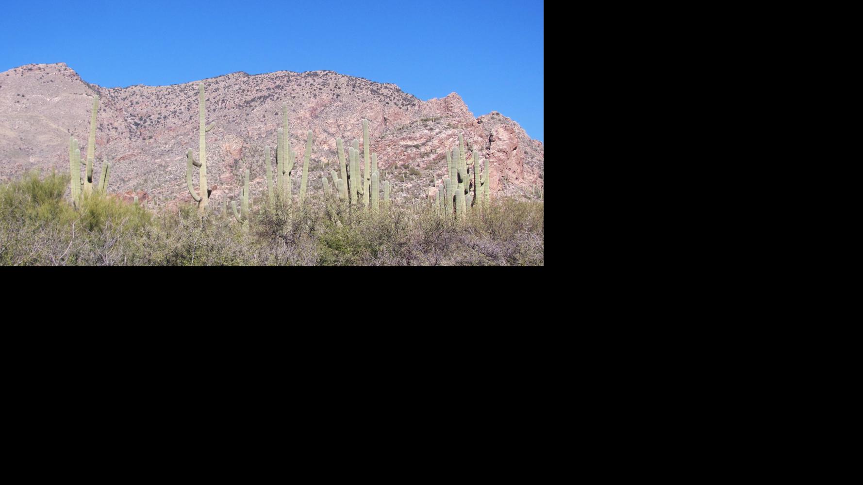 Tucson weather: Beautiful weather ahead