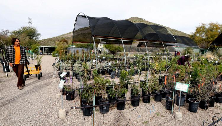 Things to do in Tucson: pool parties, cosplay fest, movies