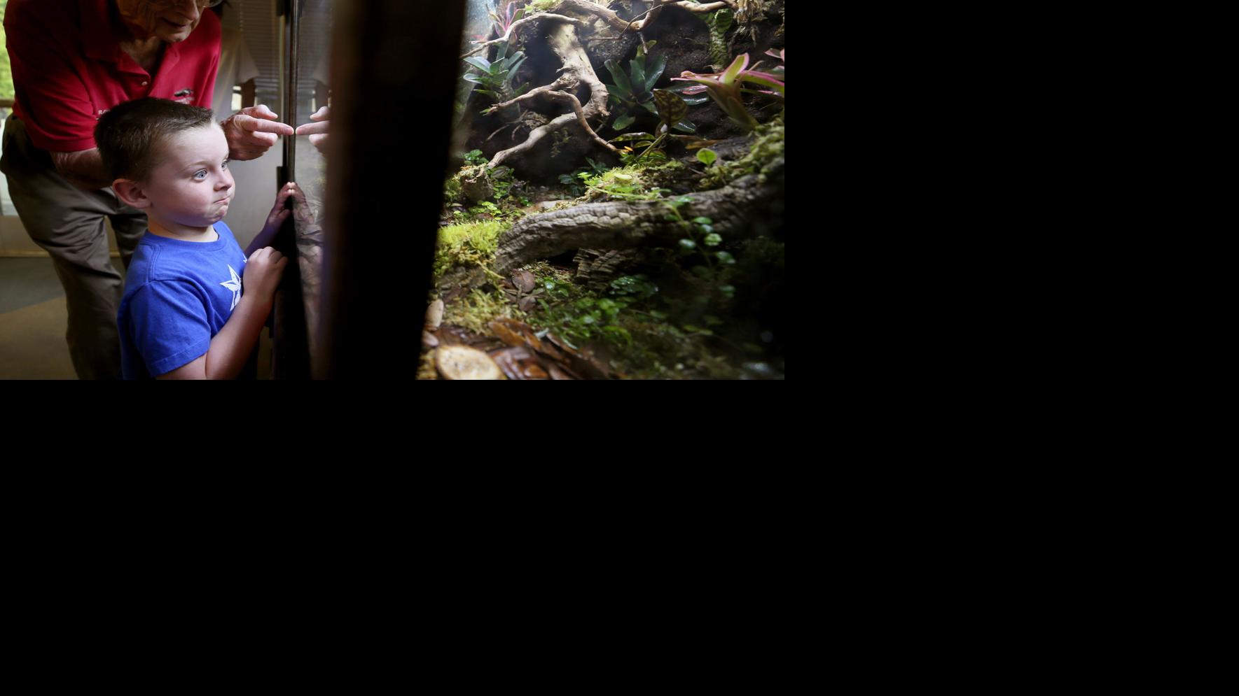 New frog exhibit at Reid Park Zoo in Tucson