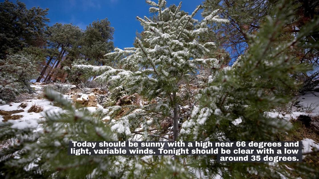 Tucson weather forecast for February 8